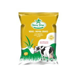Home - New Star Hybrid Seeds