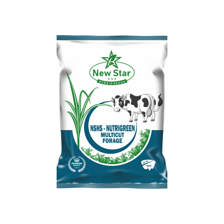 Home - New Star Hybrid Seeds